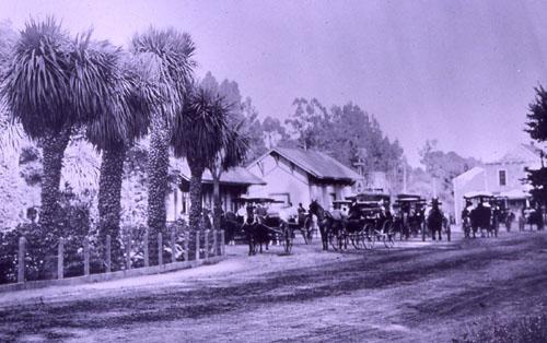 Historic Photo Gallery | Town of Ross California